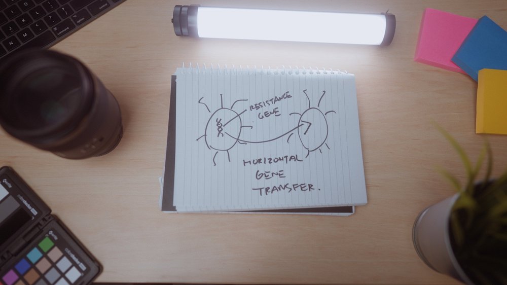 How to make a Superbug — JACK WANG