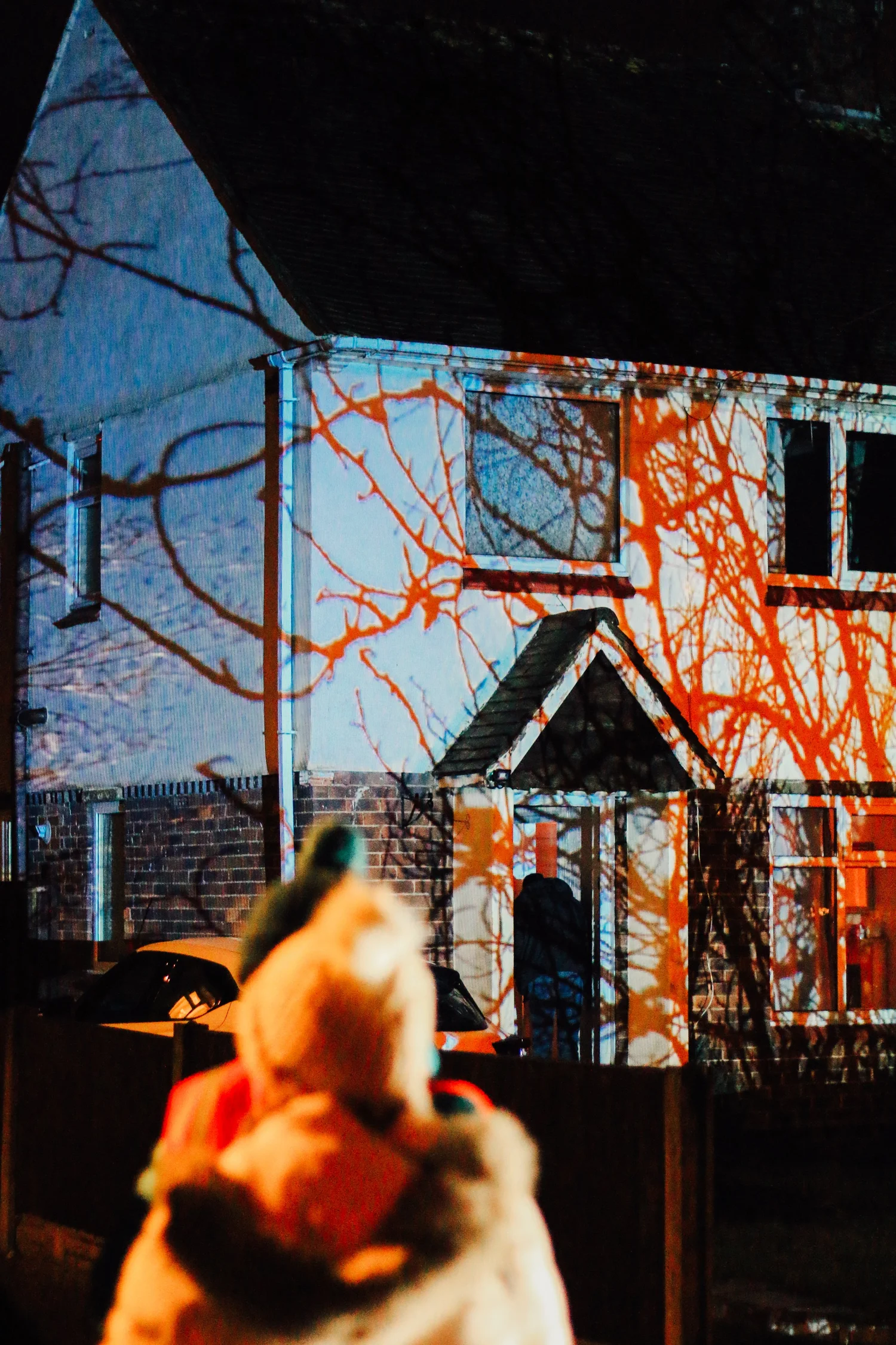 TREES — Things That Go On Things