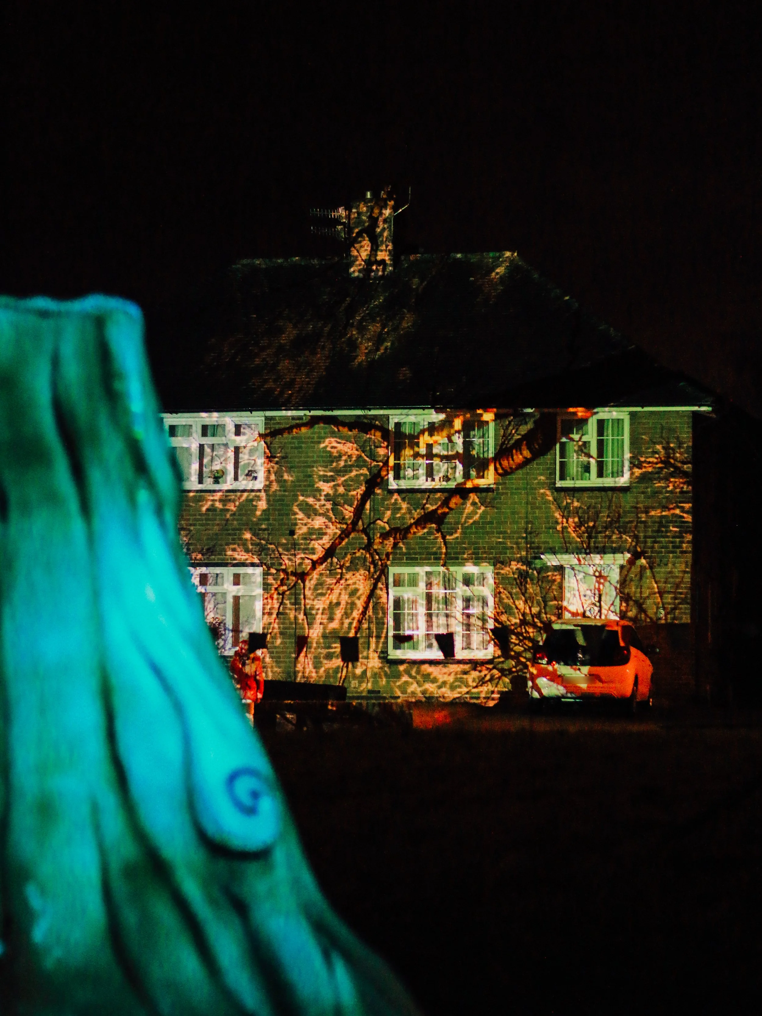 TREES — Things That Go On Things