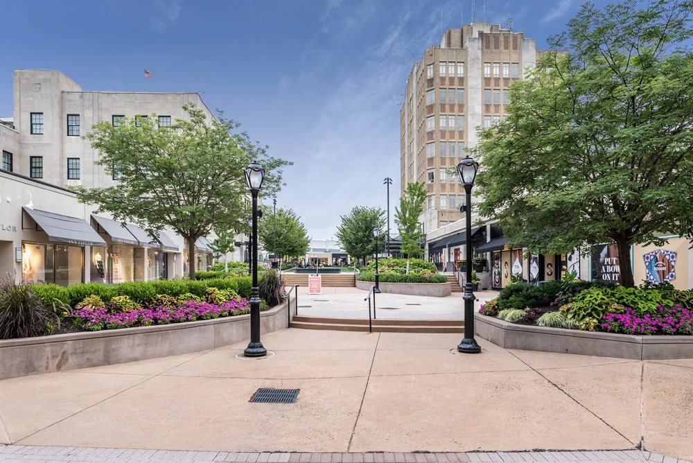 Lower Merion — The Haas Group