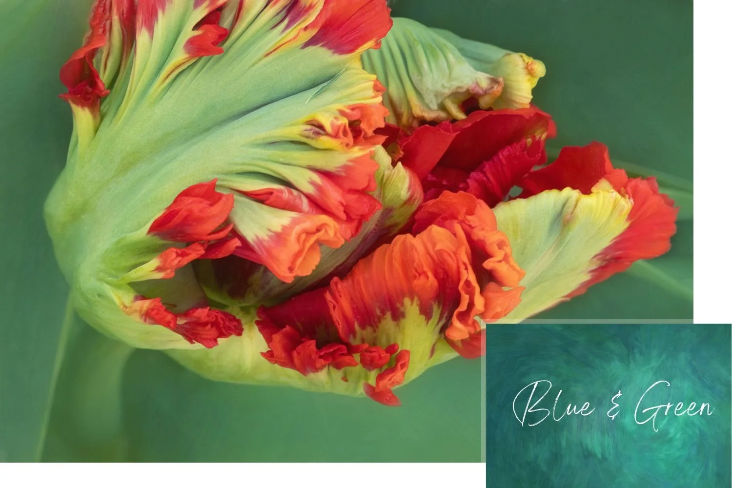 Gallery 3 — Kathleen Clemons