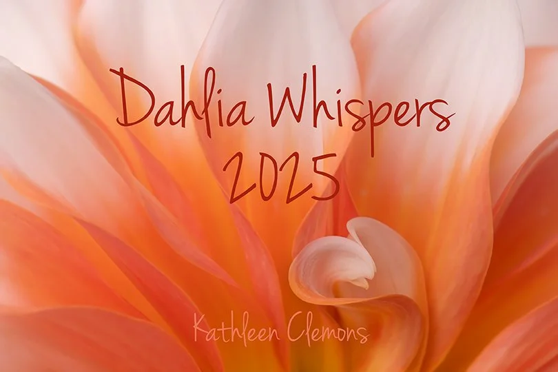 Prints — Kathleen Clemons