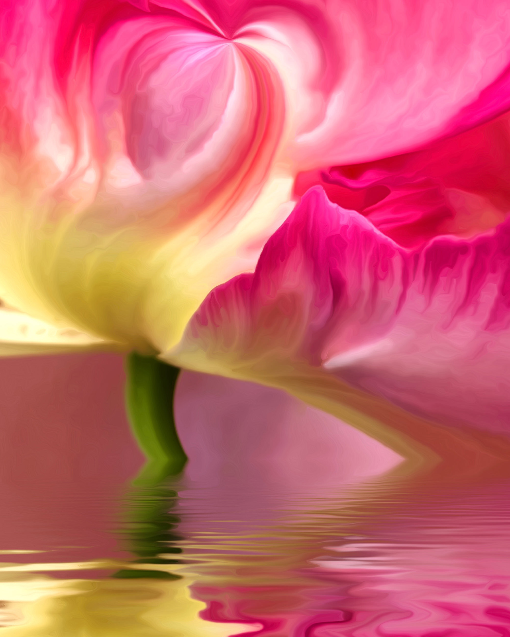 iPhone Flowers — Kathleen Clemons