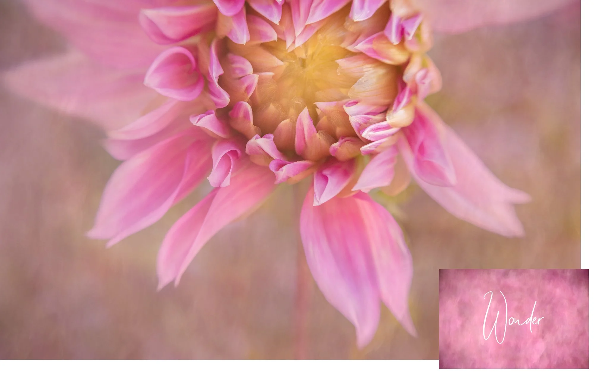 Gallery 3 — Kathleen Clemons
