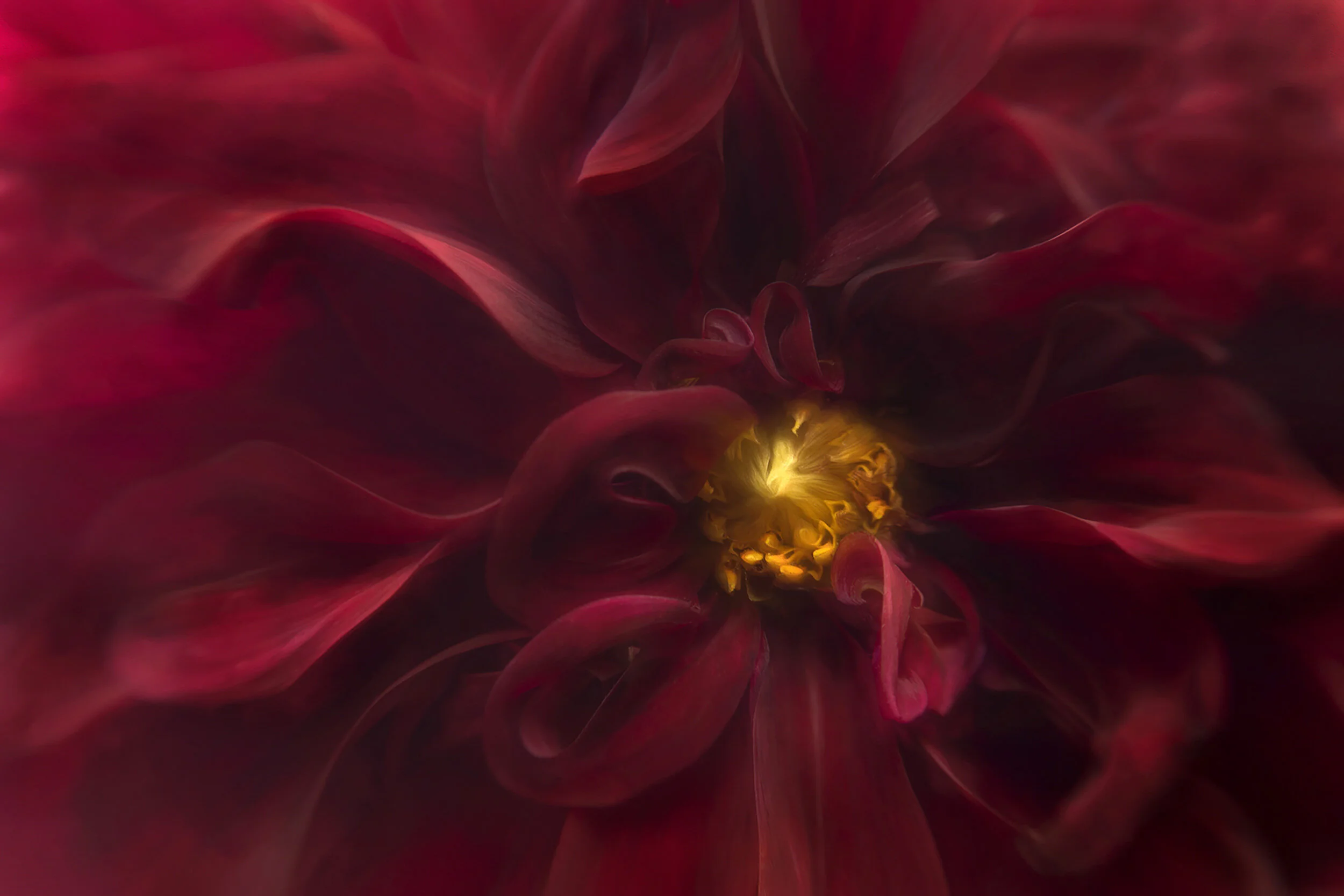 Main Gallery — Kathleen Clemons