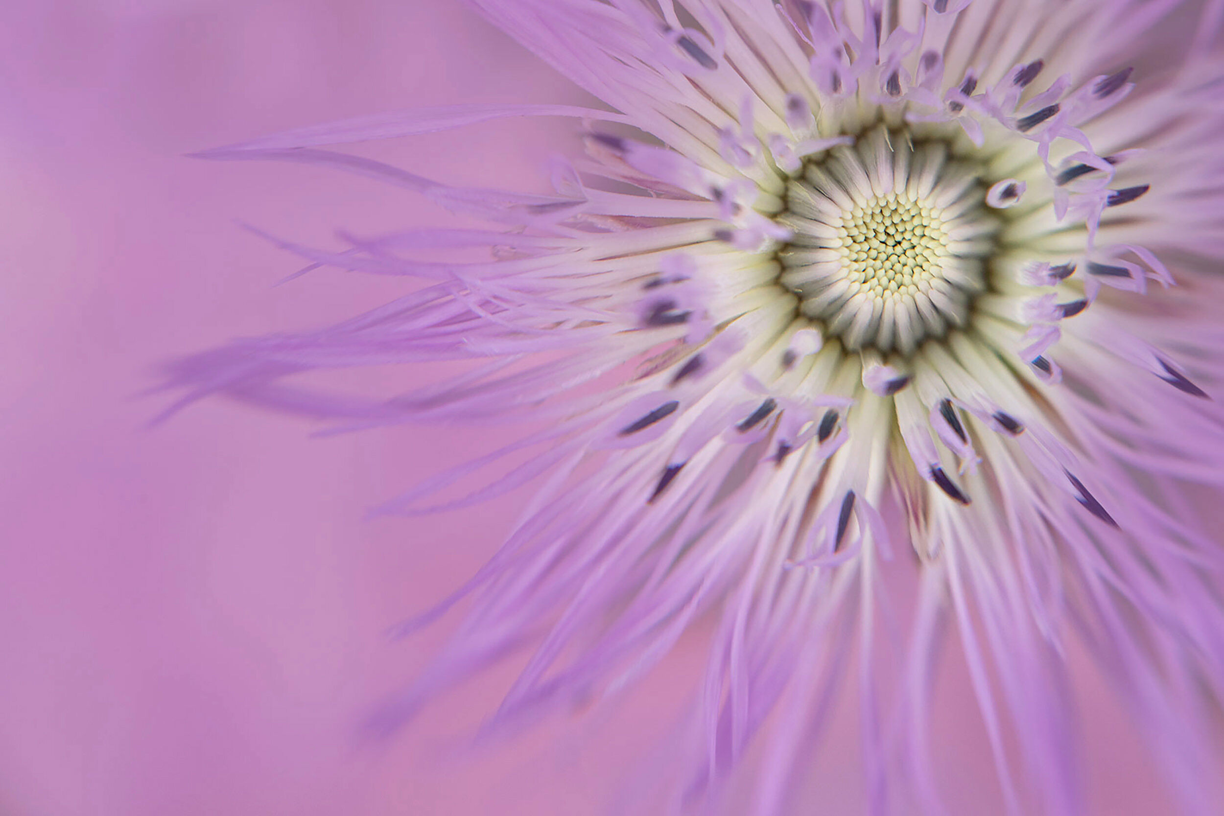 Instruction — Kathleen Clemons