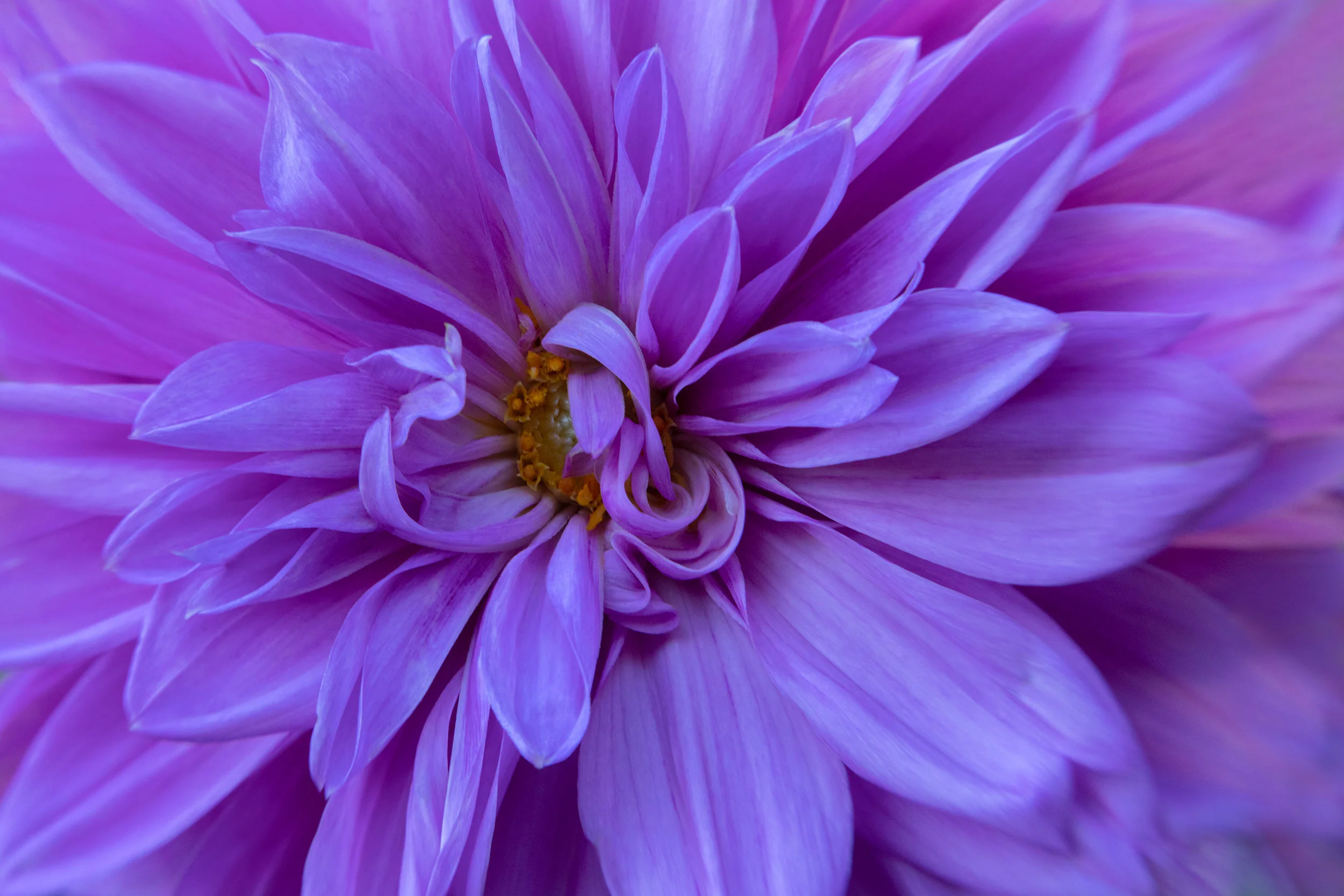 About Kathleen — Kathleen Clemons