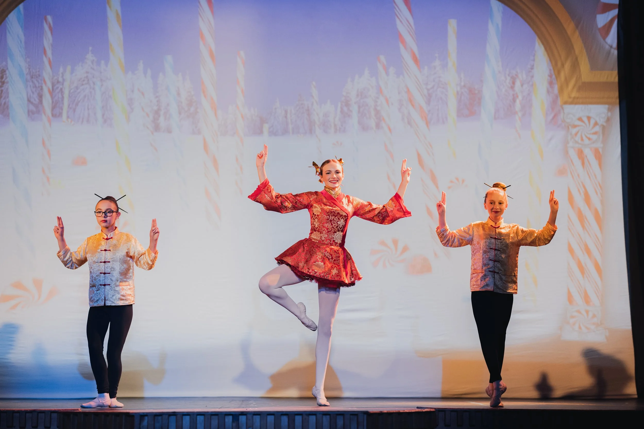 Ballet Classes | Northern Michigan Dance Academy | Ballet Studio ...