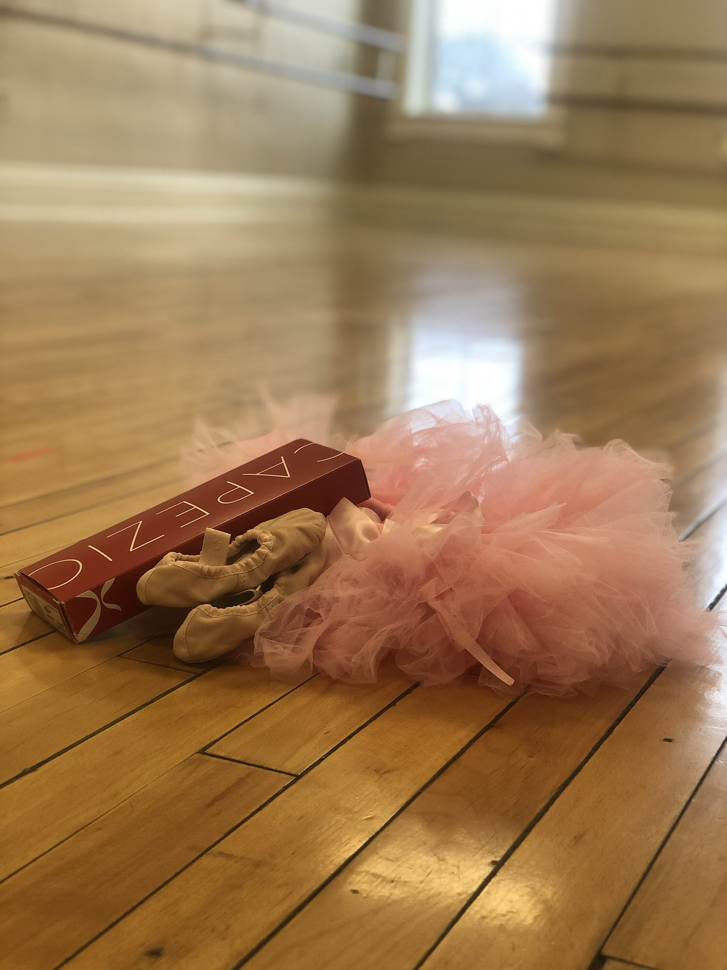 Ballet Classes | Northern Michigan Dance Academy | Ballet Studio ...
