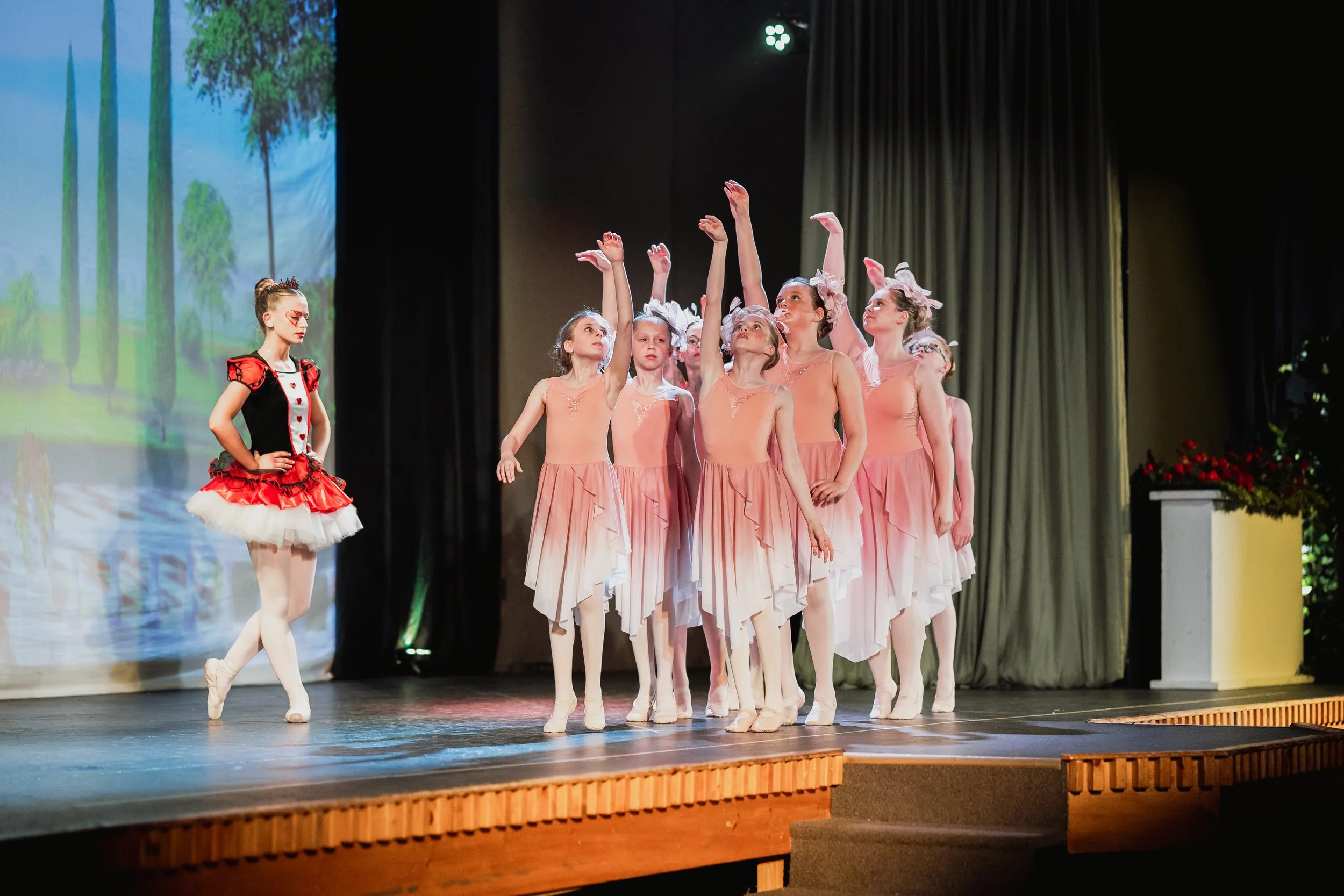 Ballet Classes | Northern Michigan Dance Academy | Ballet Studio ...