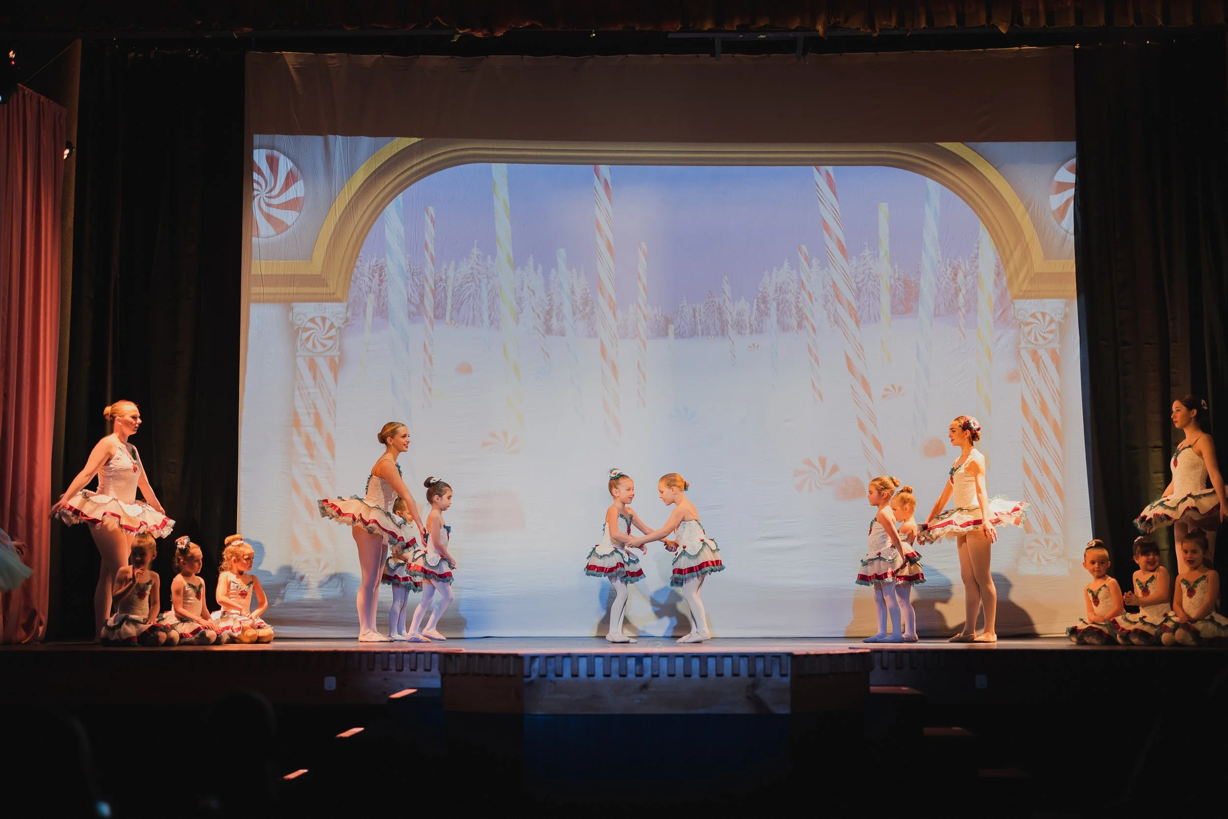 Ballet Classes | Northern Michigan Dance Academy | Ballet Studio ...