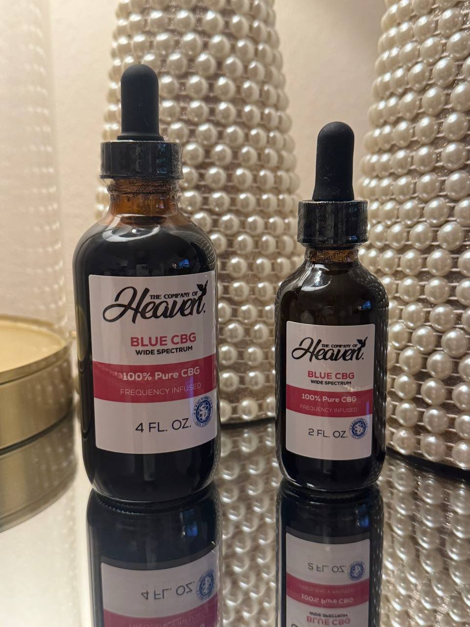 HOLOTECH — Smarty's Corner