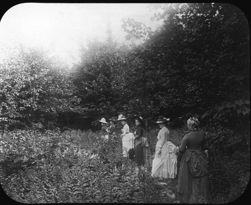 Gallery — Waterville Valley Historical Society