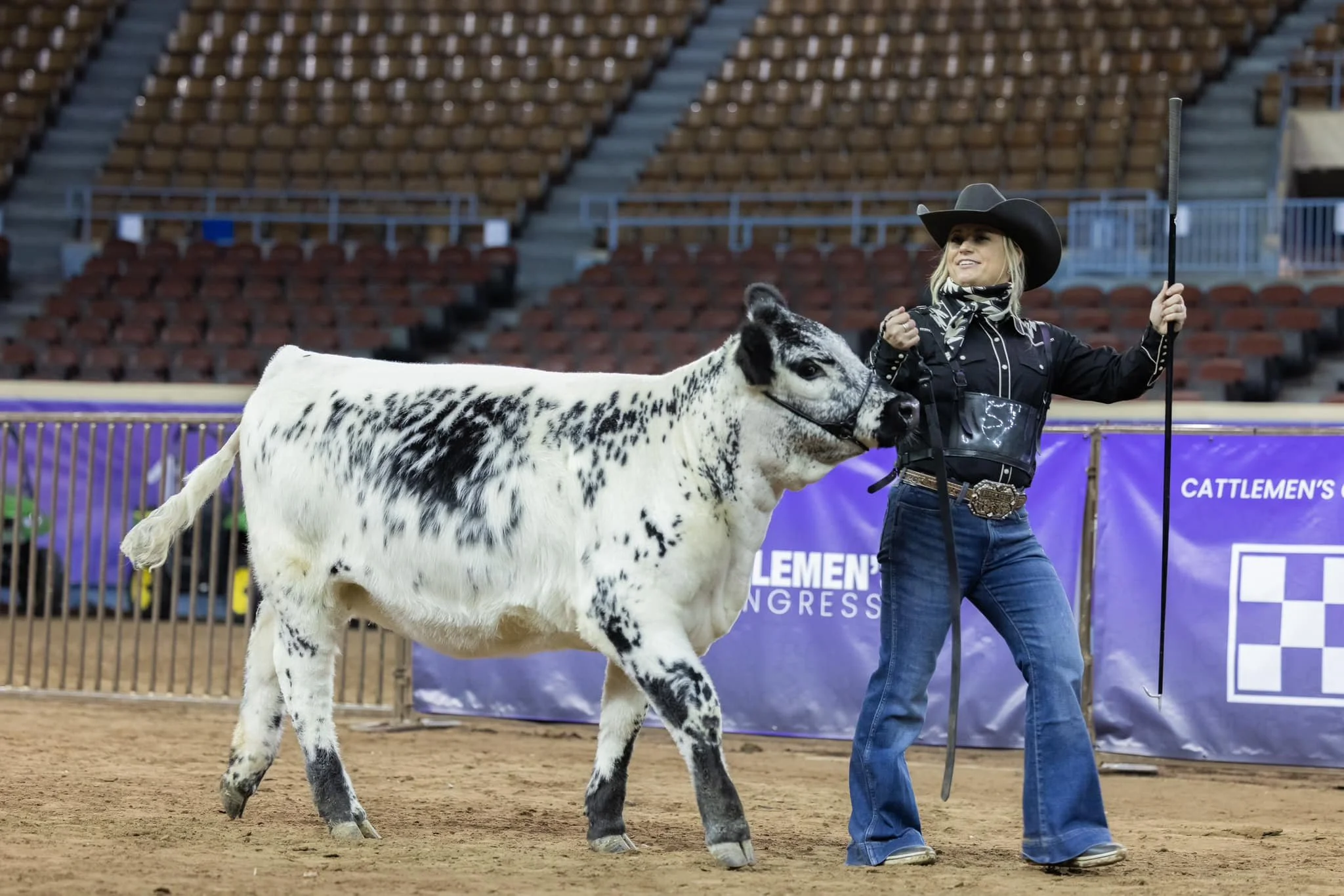 The Ultimate Guide to Fitting Beef Cattle for the Show Ring — Black ...