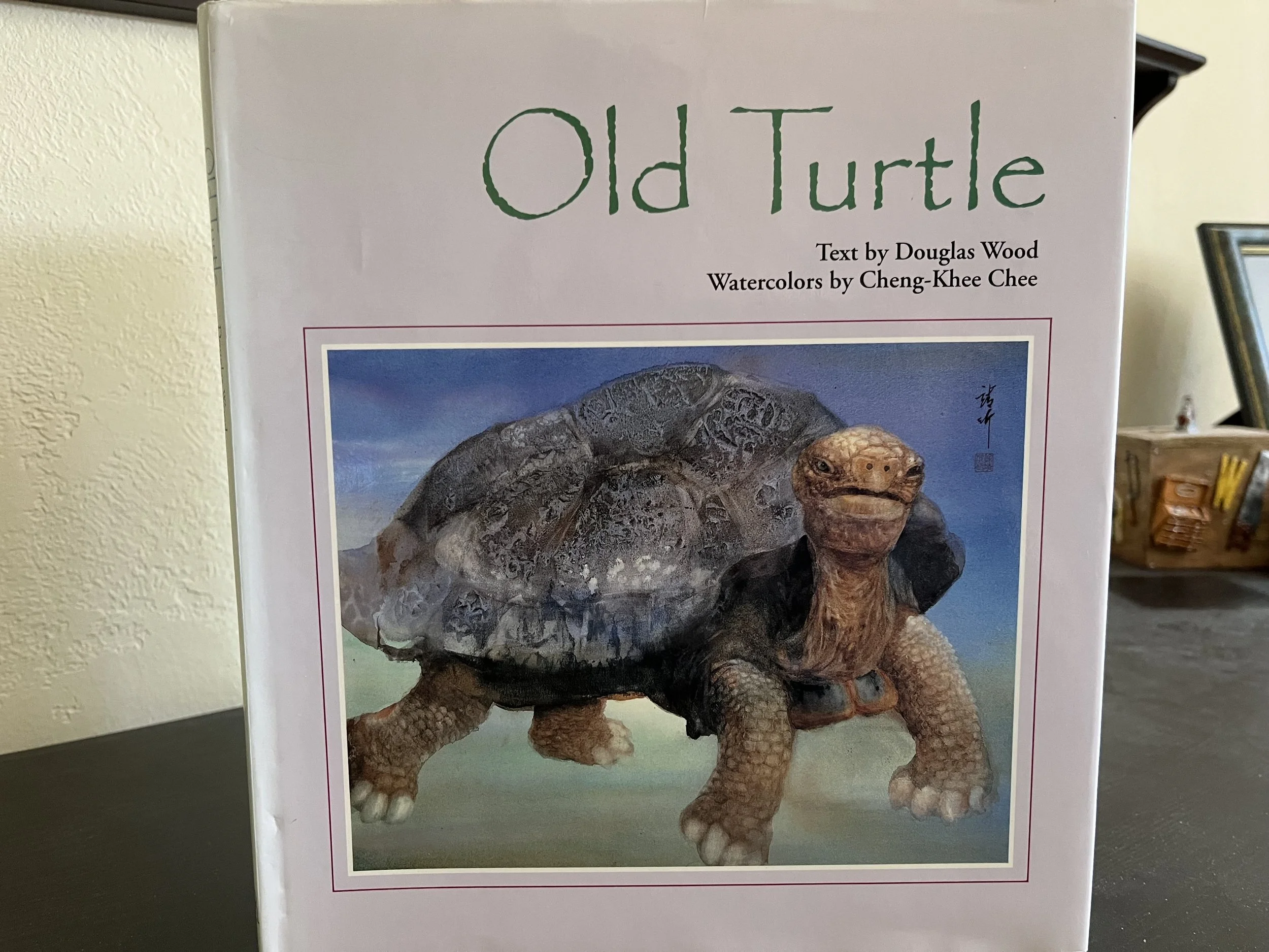 Susie’s Book Nook - New Children’s Book Review: “Old Turtle” — Church ...