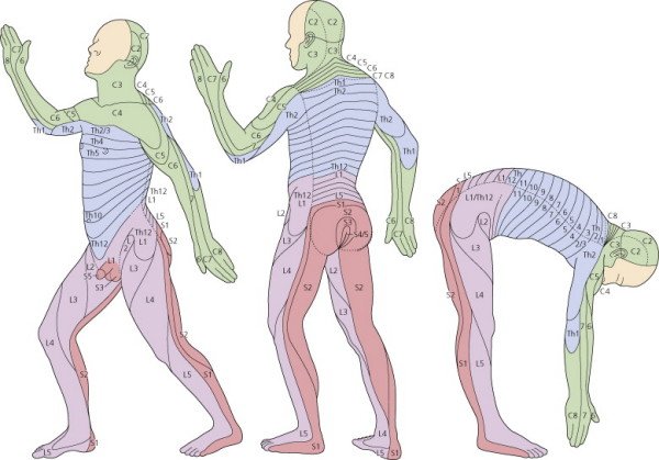 Shingles Part I: Understanding the Viral Phases — CMD Skin Solutions
