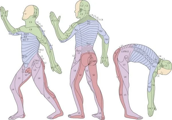 Shingles Part I: Understanding the Viral Phases — CMD Skin Solutions