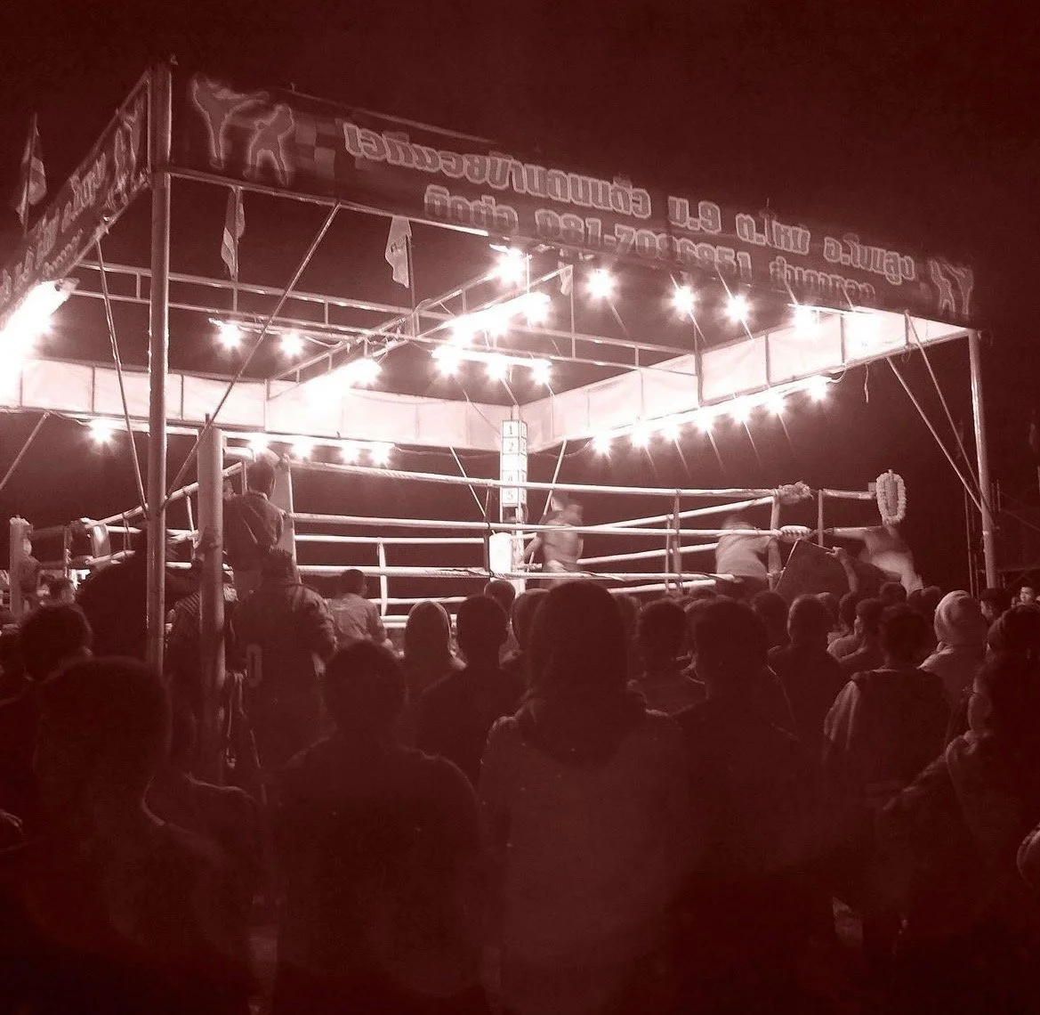 Muay Thai: Village Life in Isan (Isaan) — Café Isan - Thai Streetfood ...