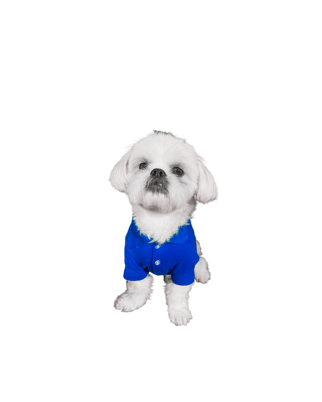 Screencrush — X1 Entertainment