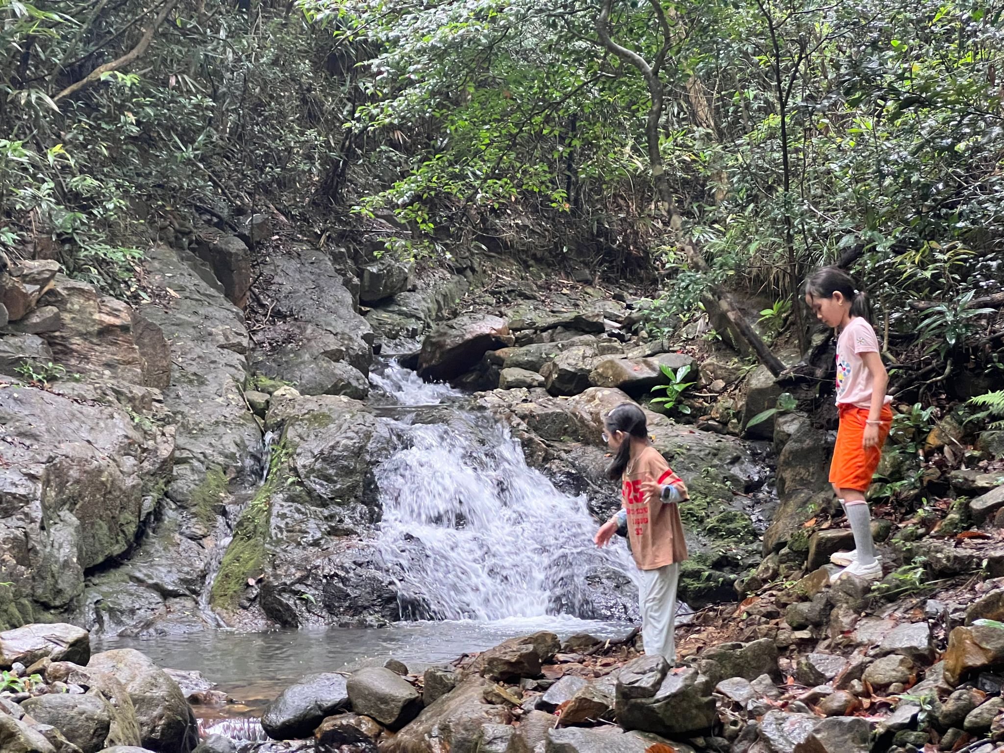 Saturday Program — The Shed HK