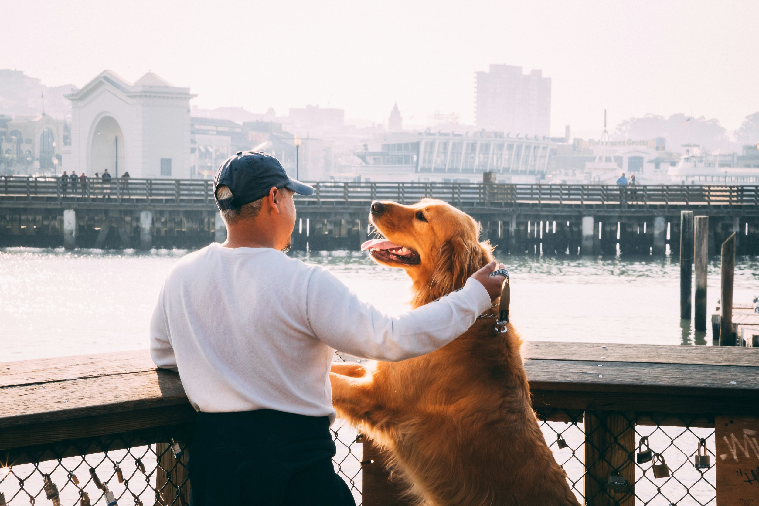 Struggling With Pet Loss Grief? How Self Compassion Can Help You Cope ...