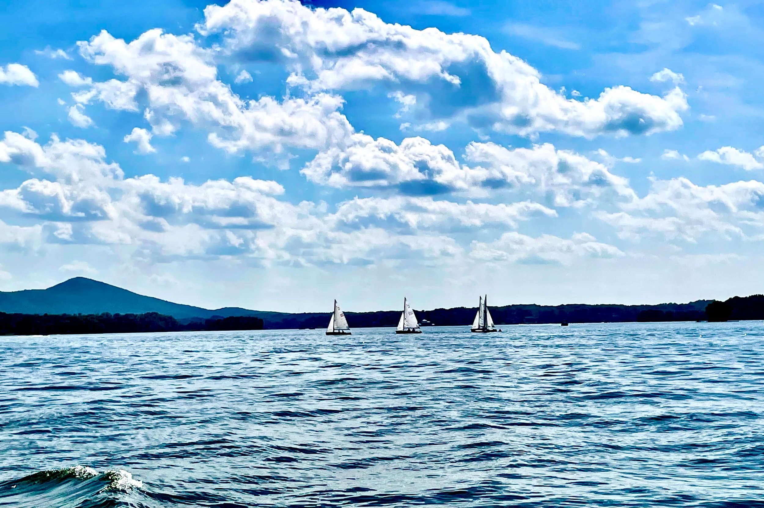 Deals and specials — Halesford Harbour Resort