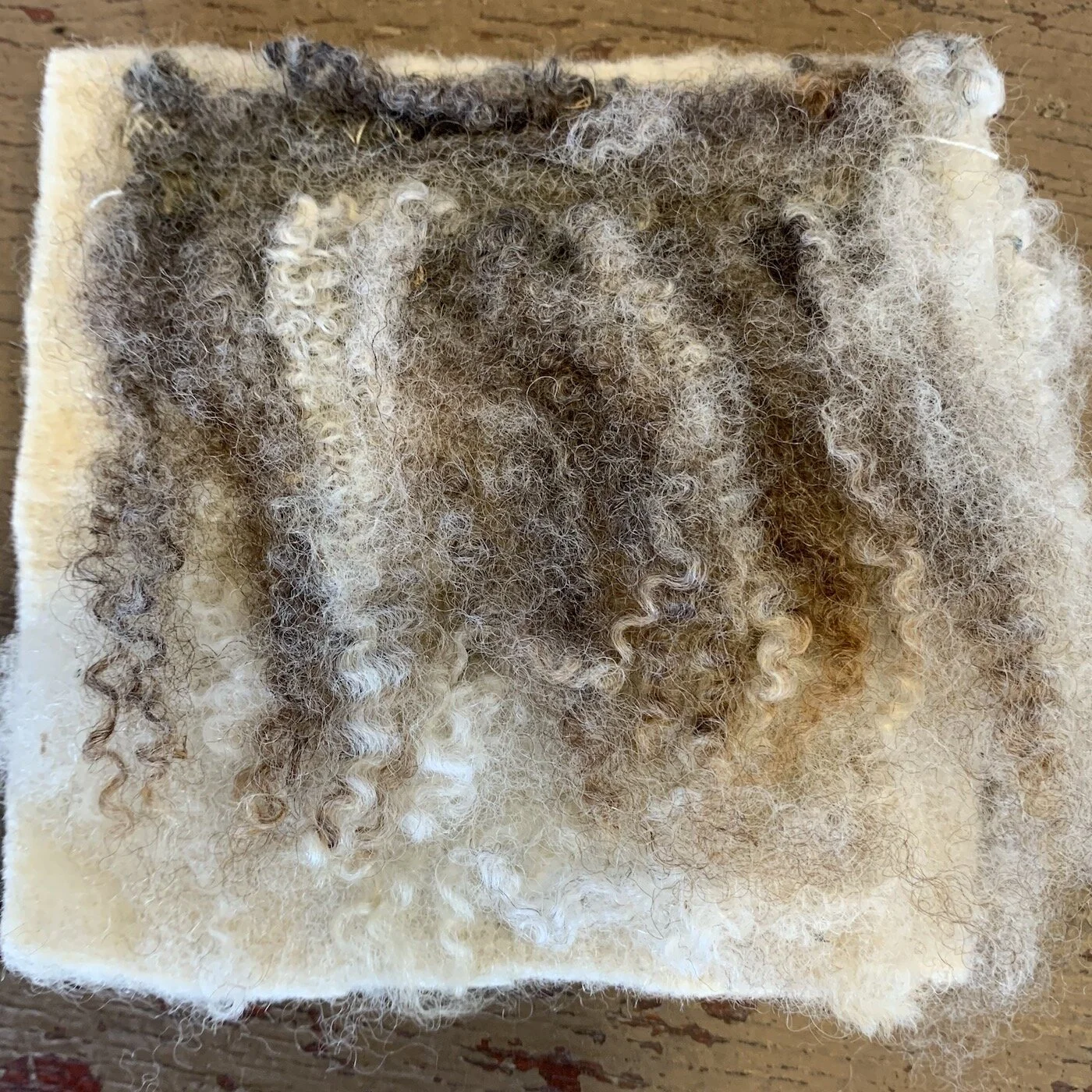 Gallery 1 — coat of hopes