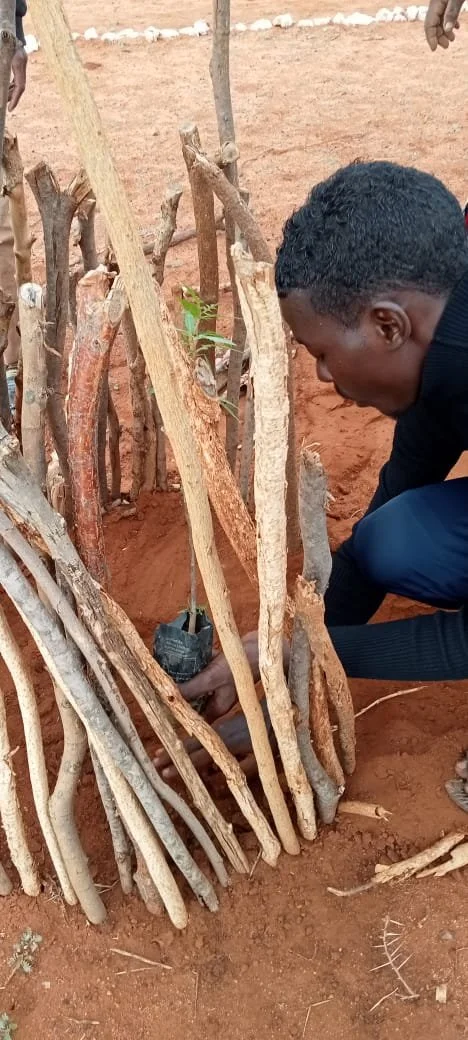 Impact of planting trees — Sarara | Safari Ecolodges & Foundation in Kenya