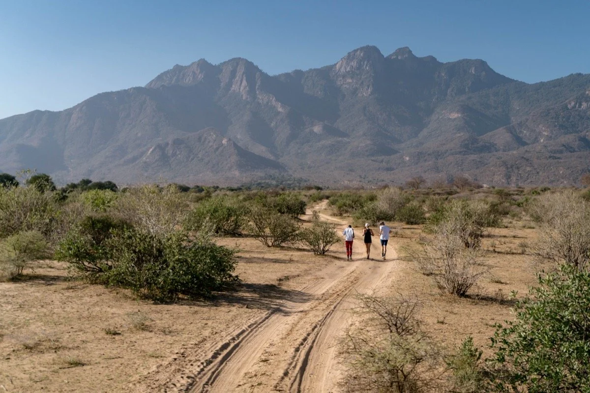 Sarara Treehouses in Kenya — SARARA | Safari Ecolodges & Foundation in ...