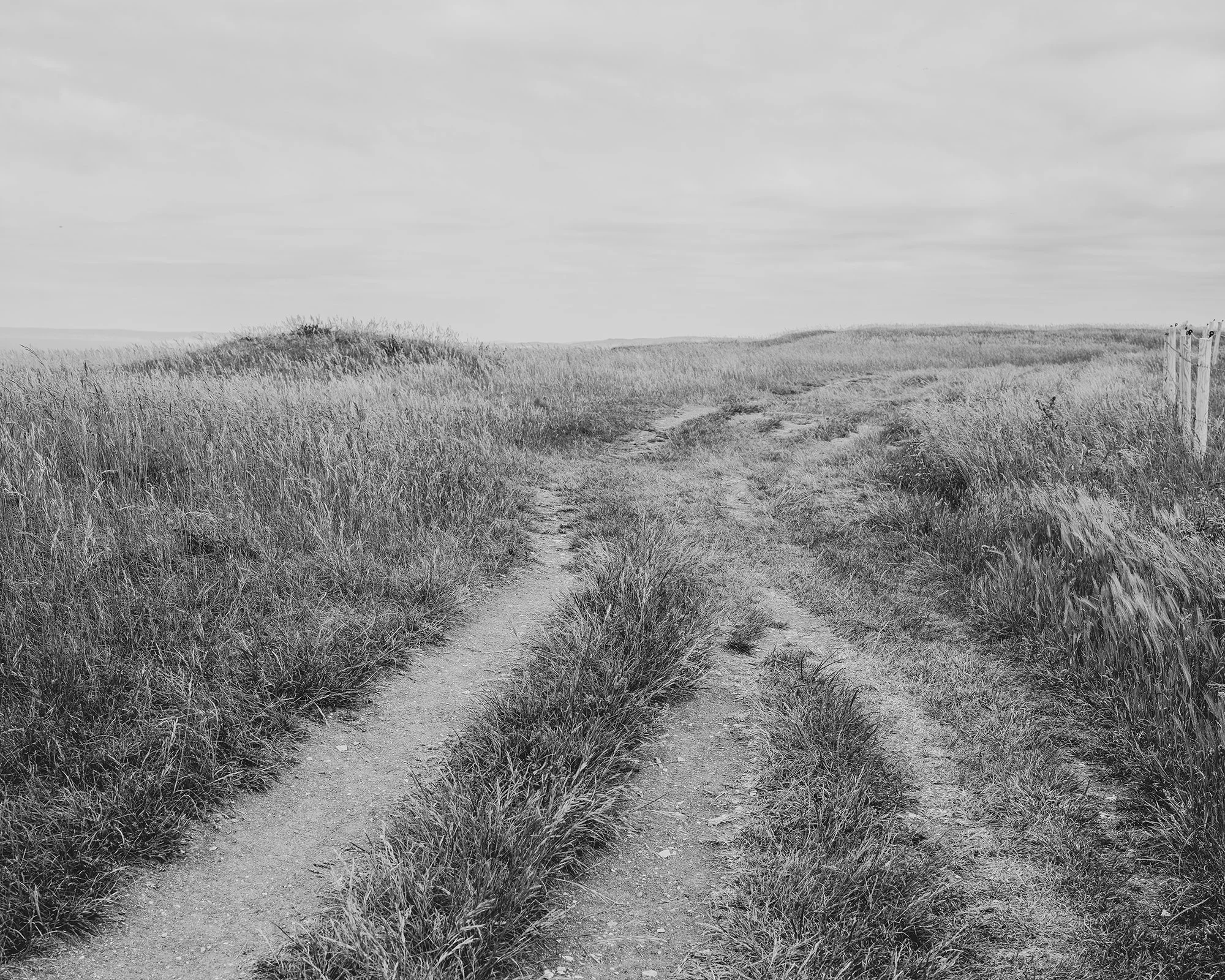 The Shadow Lands — Dawn Rodgers
