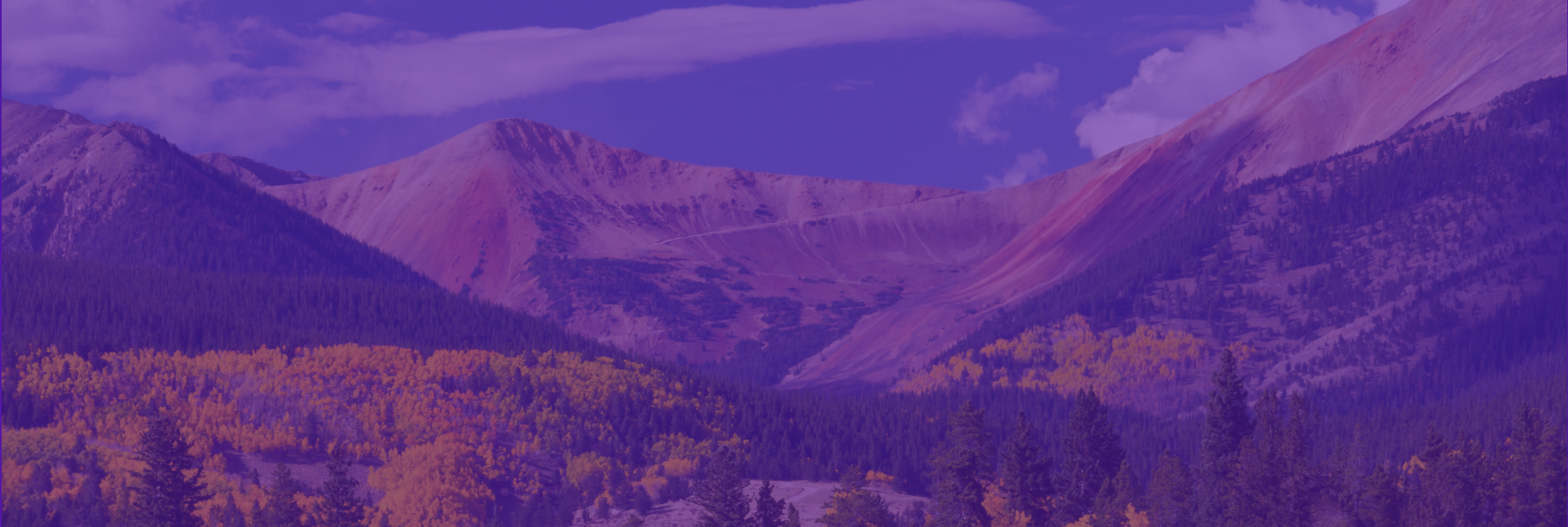 2024 Abolitionist Ballot Guide — Colorado Freedom Fund