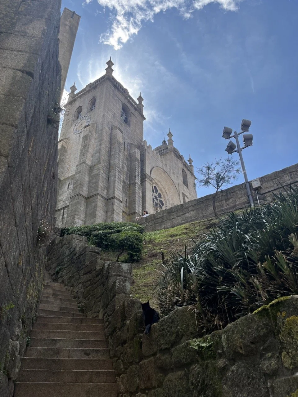 Where to stay in Porto - A Local's Neighborhood Guide — Go Ask A Local