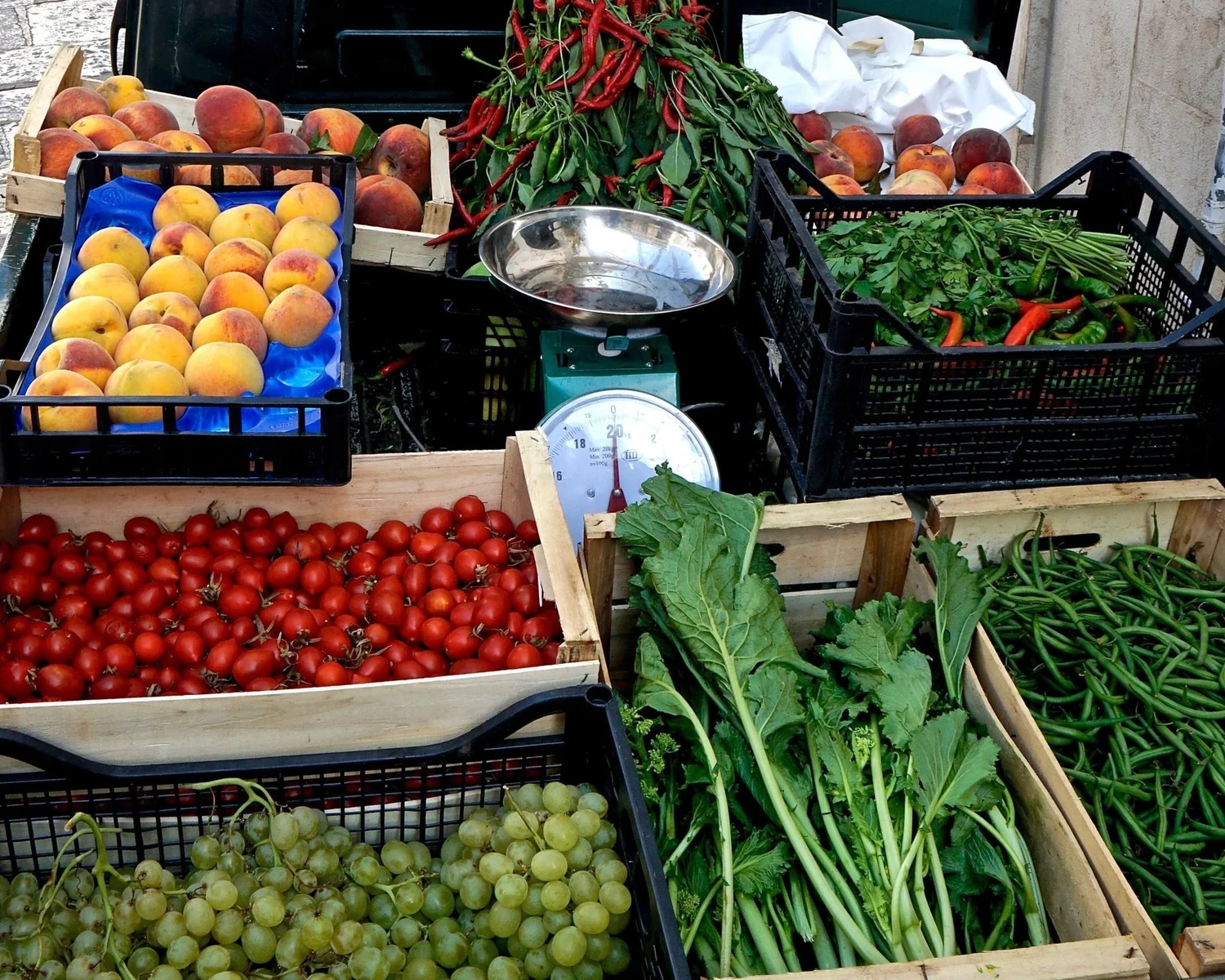 Where to Eat in Bari - Best Restaurants in Bari, Italy — Go Ask A Local