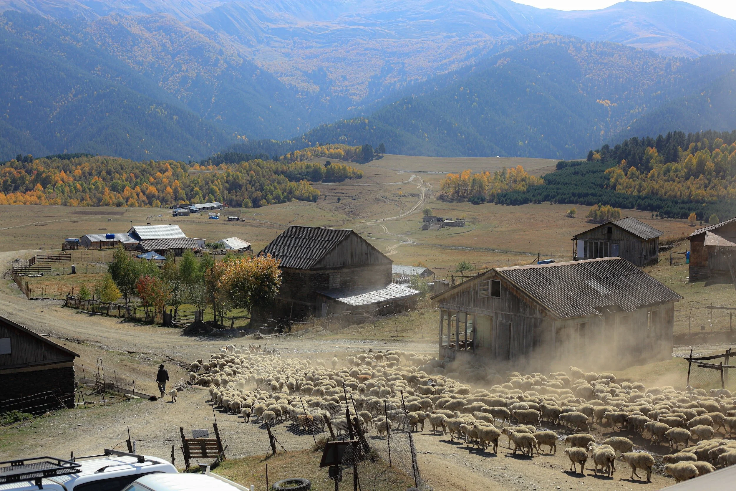 16 of the Best Places to Visit in Georgia - A Local’s Guide — Go Ask A ...