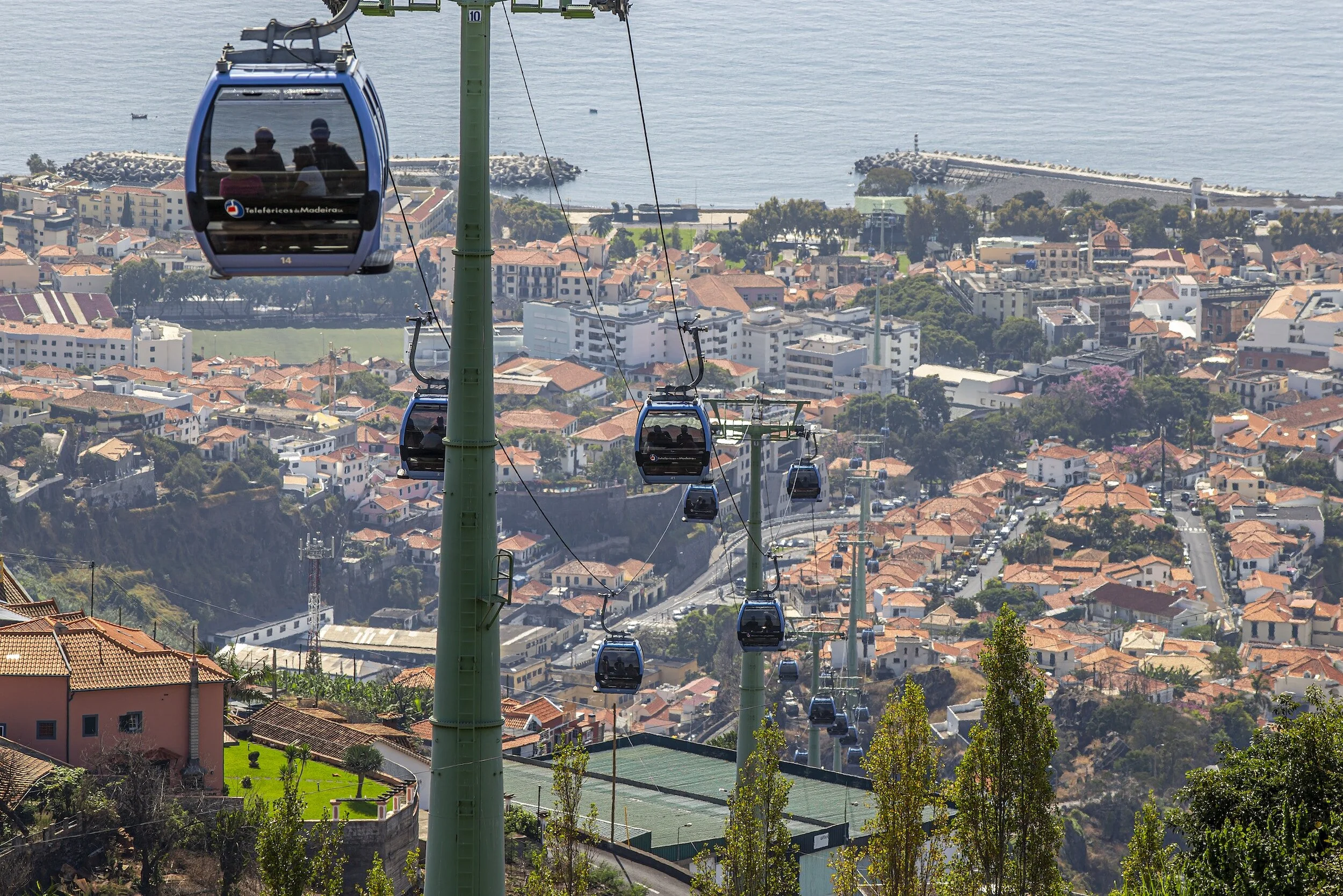 A Local's Guide to Travel in Madeira — Go Ask A Local