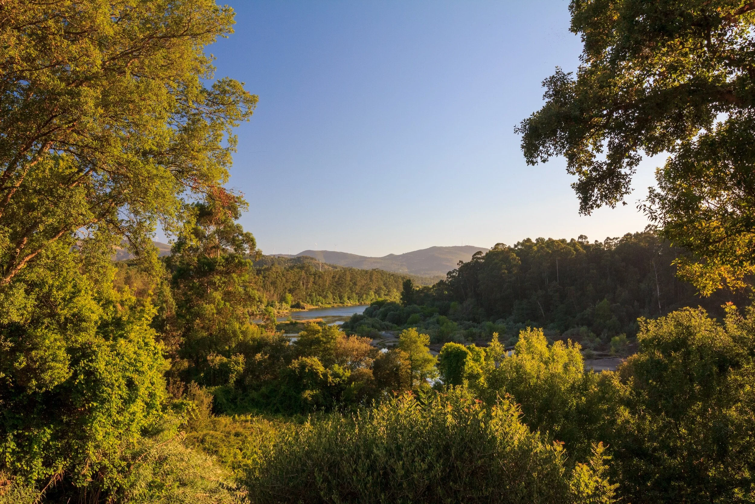 Northern Portugal Travel Guide - By a Local — Go Ask A Local