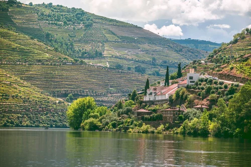 A Local's Guide to the Douro Valley, Portugal — Go Ask A Local