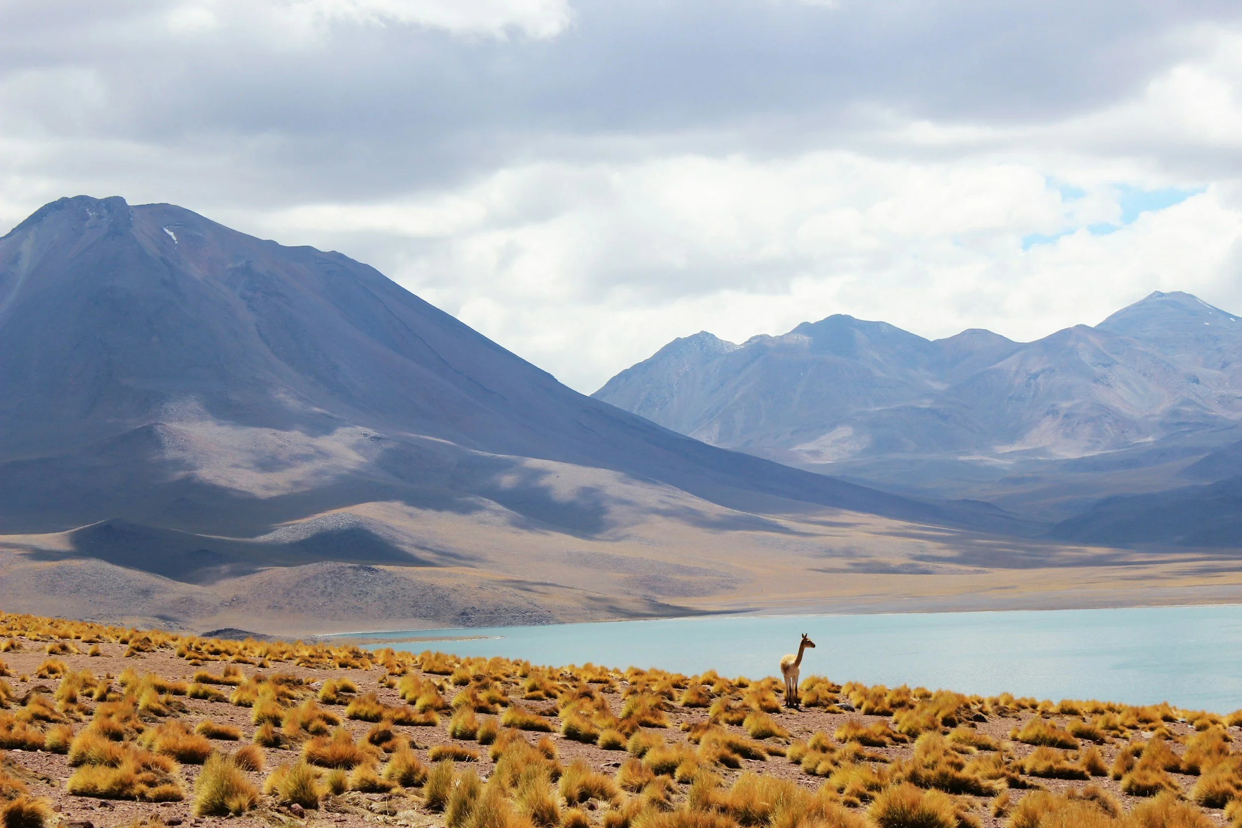 16 Incredible National Parks to Visit in Chile - A Local’s Guide — Go ...