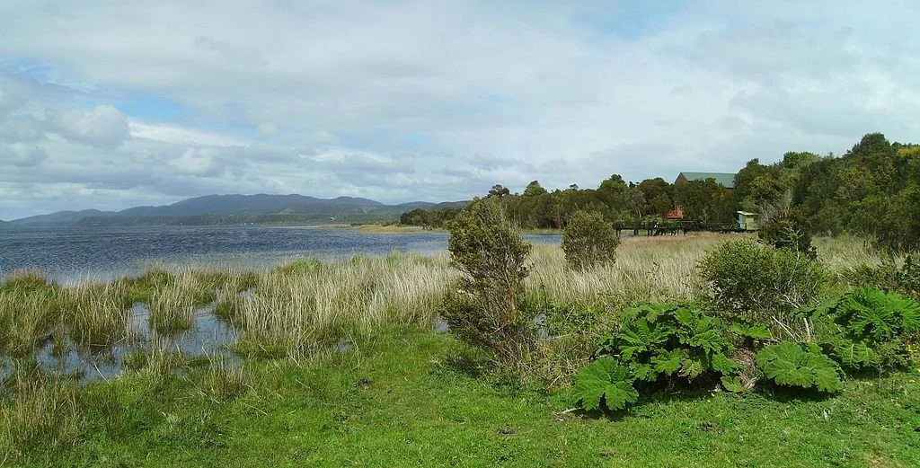 A Local's Guide to Chiloé Island, Chile — Go Ask A Local