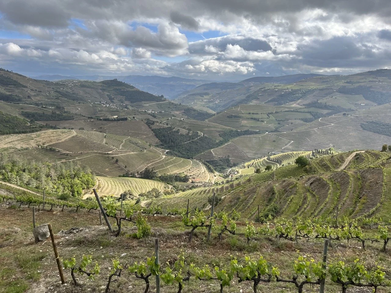 20 Great Places to Visit in Portugal — Go Ask A Local
