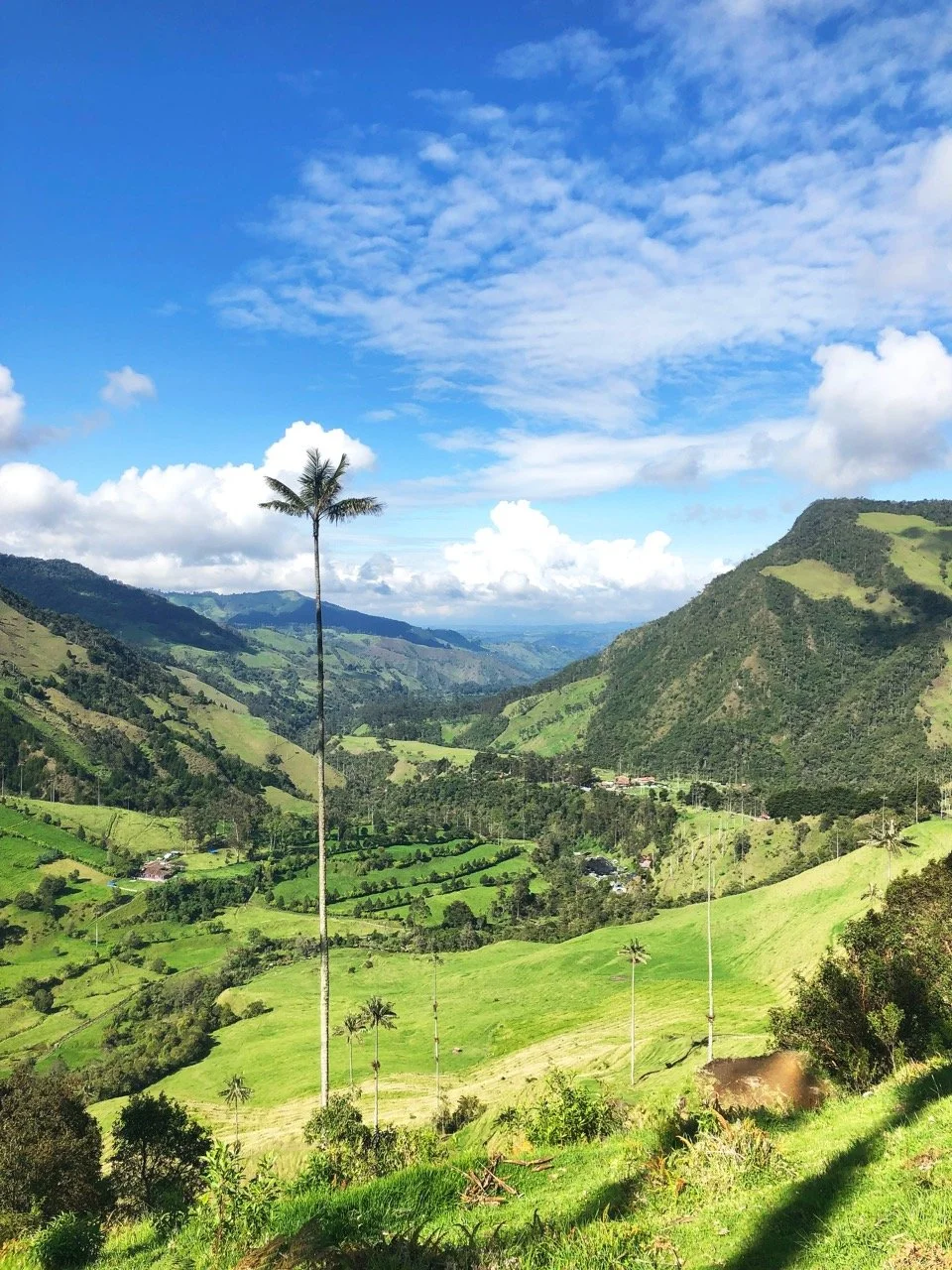 Travel Guide to Salento and the Eje Cafetero: Colombian Coffee Country ...
