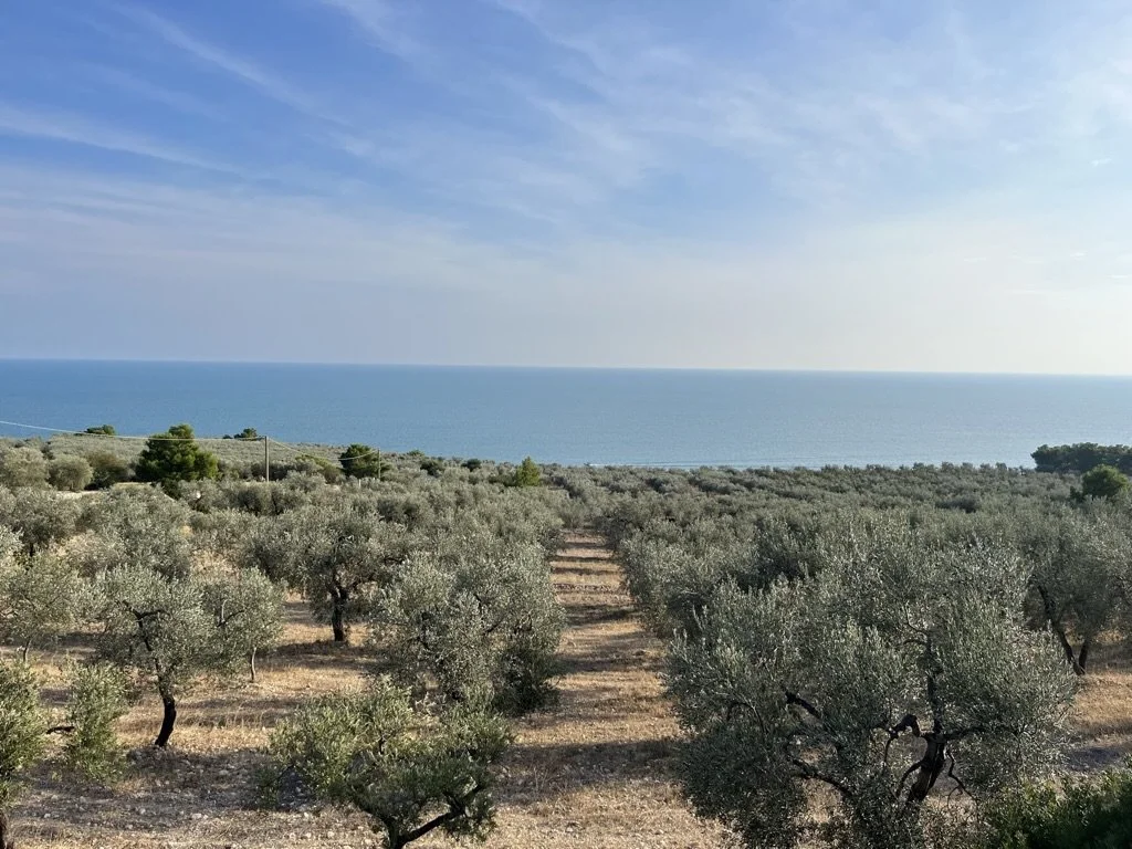 A Local’s Guide to Travel in Puglia, Italy — Go Ask A Local