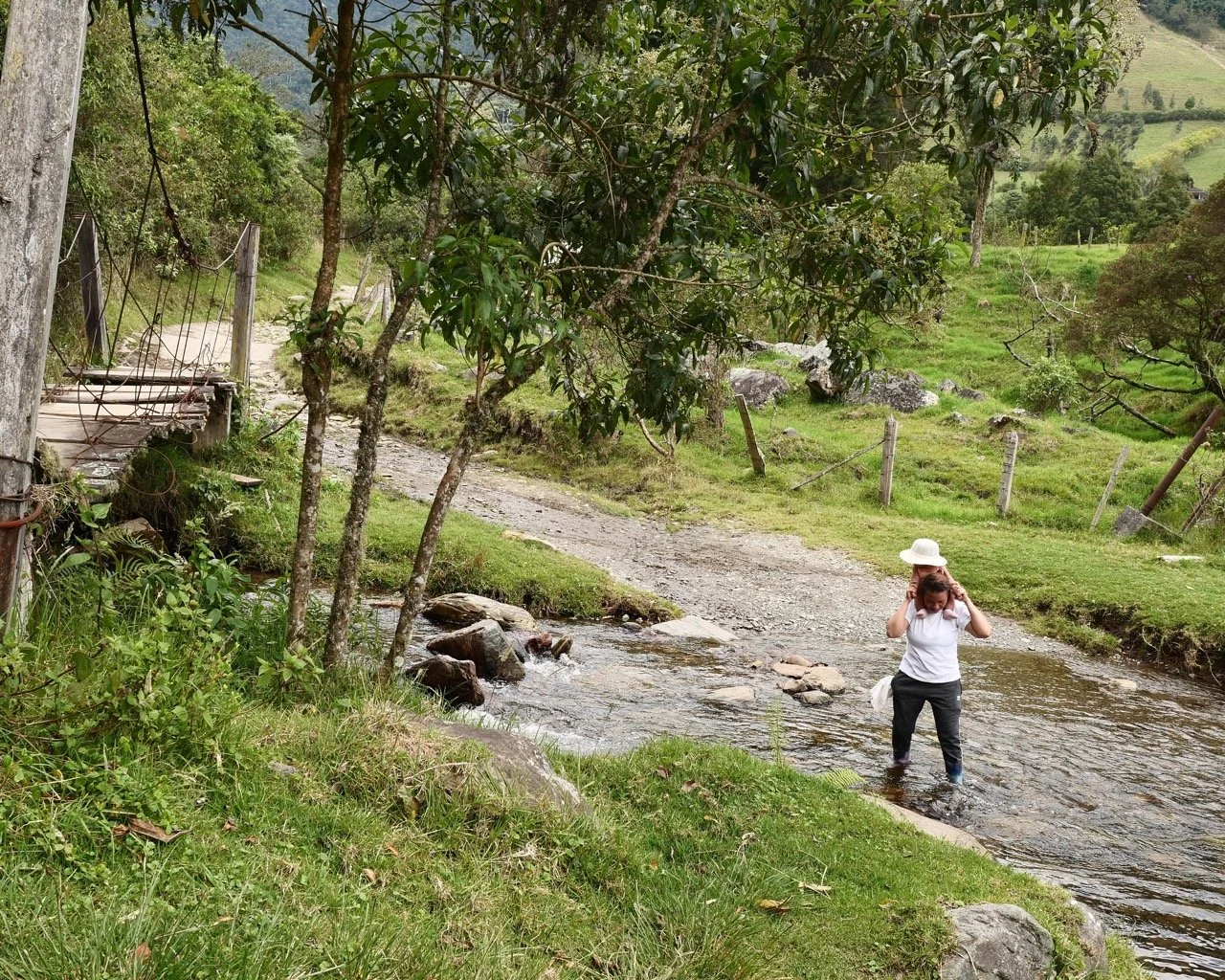 Travel Guide to Salento and the Eje Cafetero: Colombian Coffee Country ...