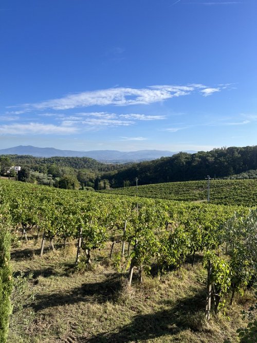 Guide to Chianti, Italy - Tuscan Wine Country — Go Ask A Local