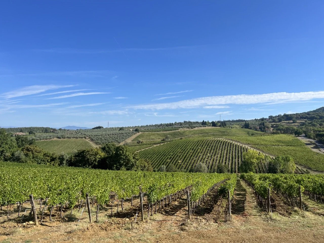 Guide to Chianti, Italy - Tuscan Wine Country — Go Ask A Local