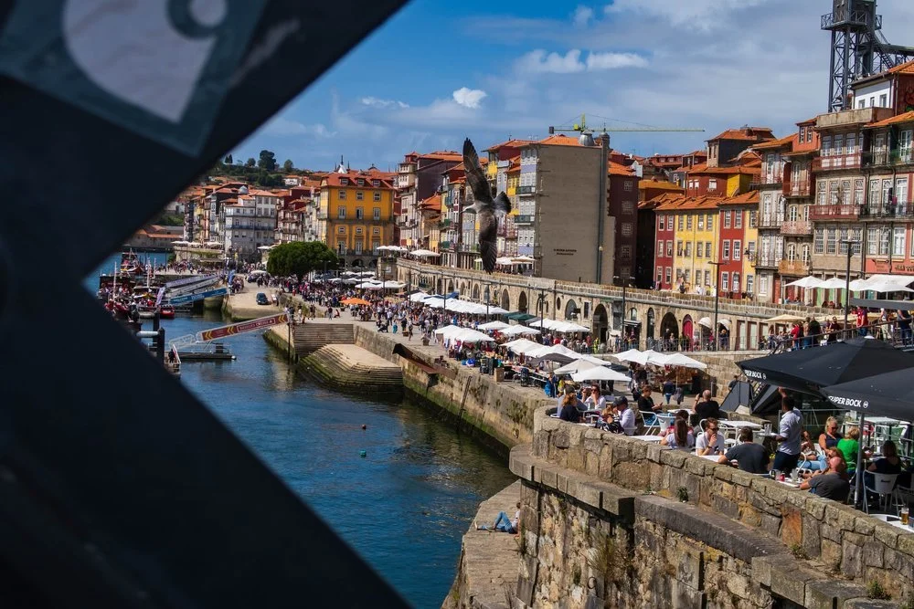 Where to Eat in Porto According to a Local — Go Ask A Local