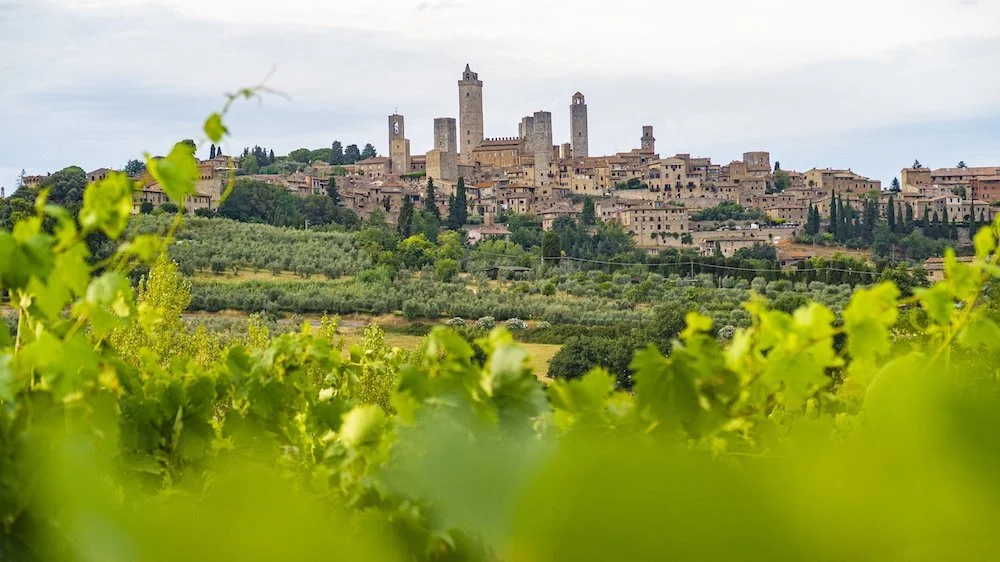 The Definitive Guide to Wine and Wine Tours in Tuscany — Go Ask A Local
