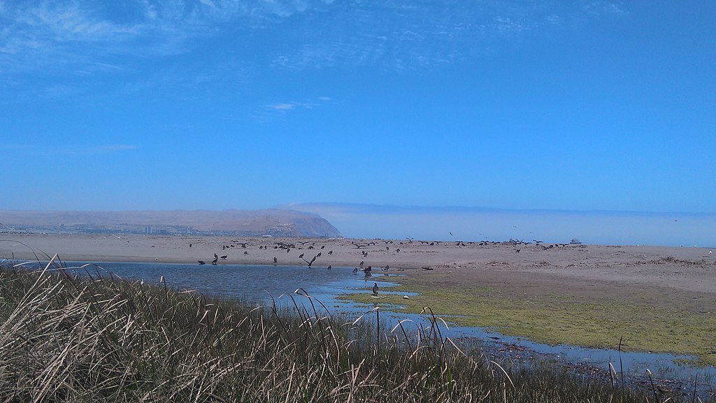 A Local’s Guide to Visiting Lauca National Park, Chile — Go Ask A Local