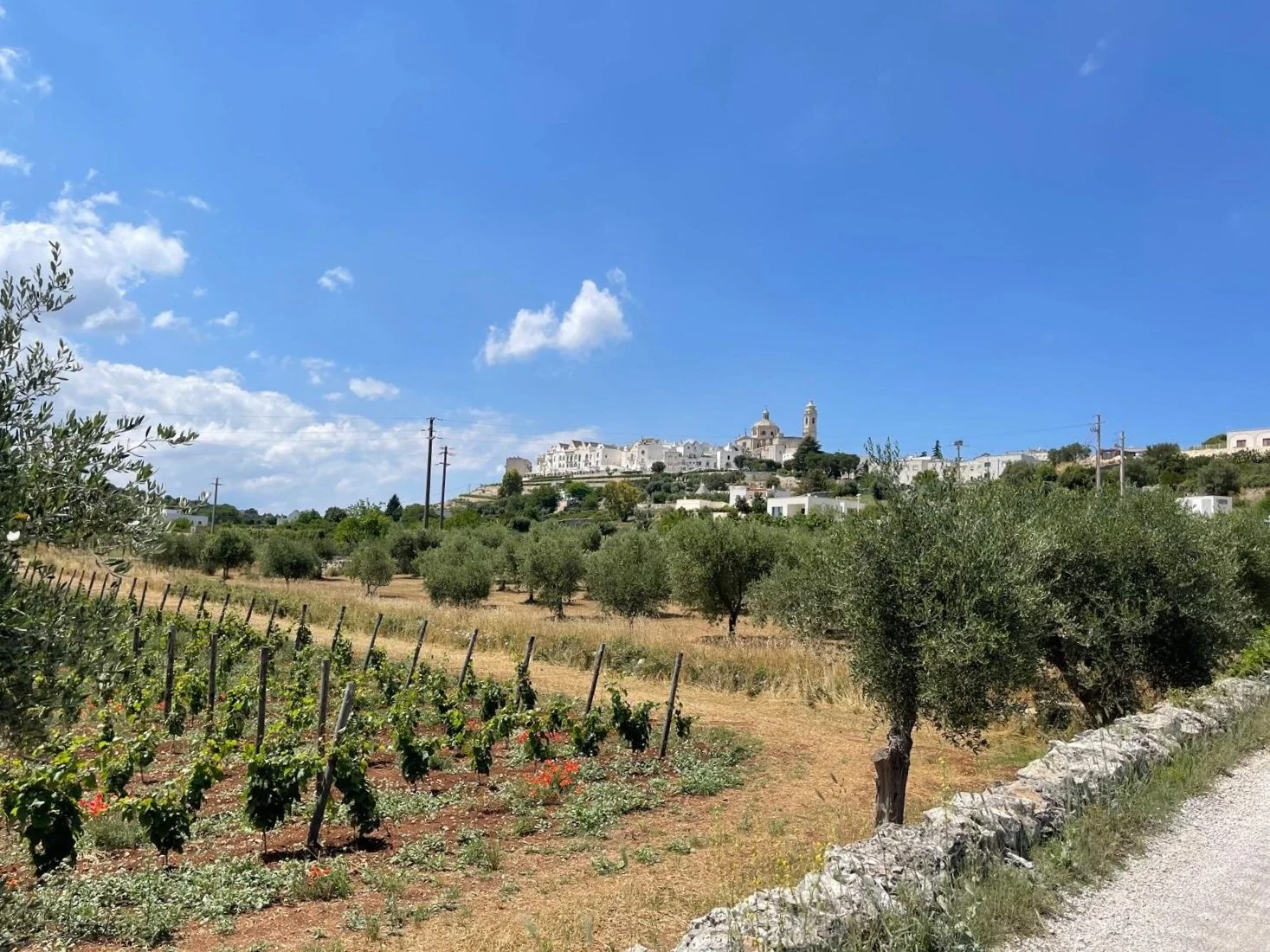 Guide to the Valle d’Itria - Puglia’s Bucolic Countryside — Go Ask A Local