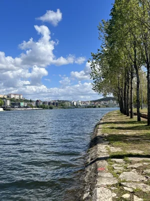 A Local’s Guide to Coimbra, Portugal — Go Ask A Local